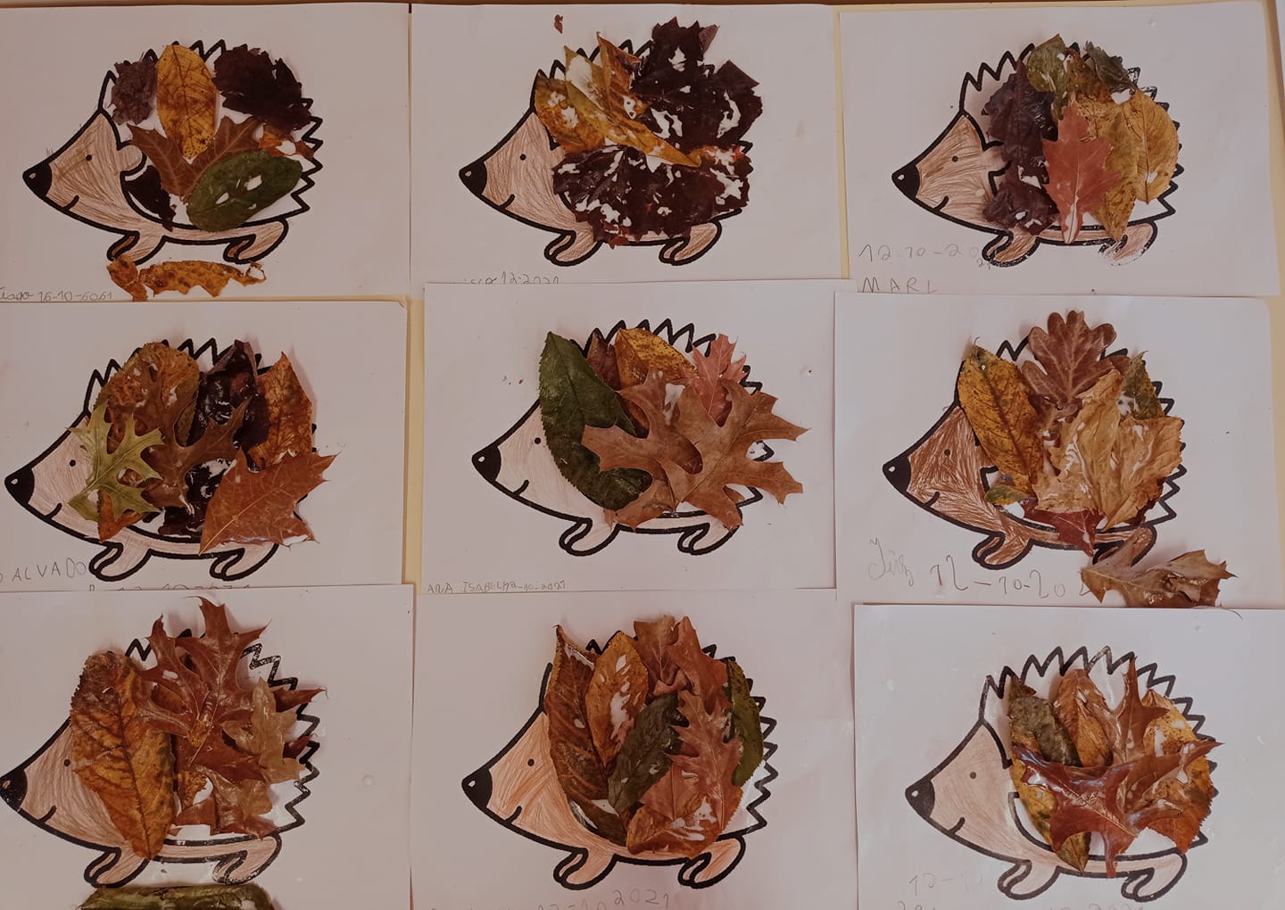 Jesen - kreativne ideje I - Zelena učionica